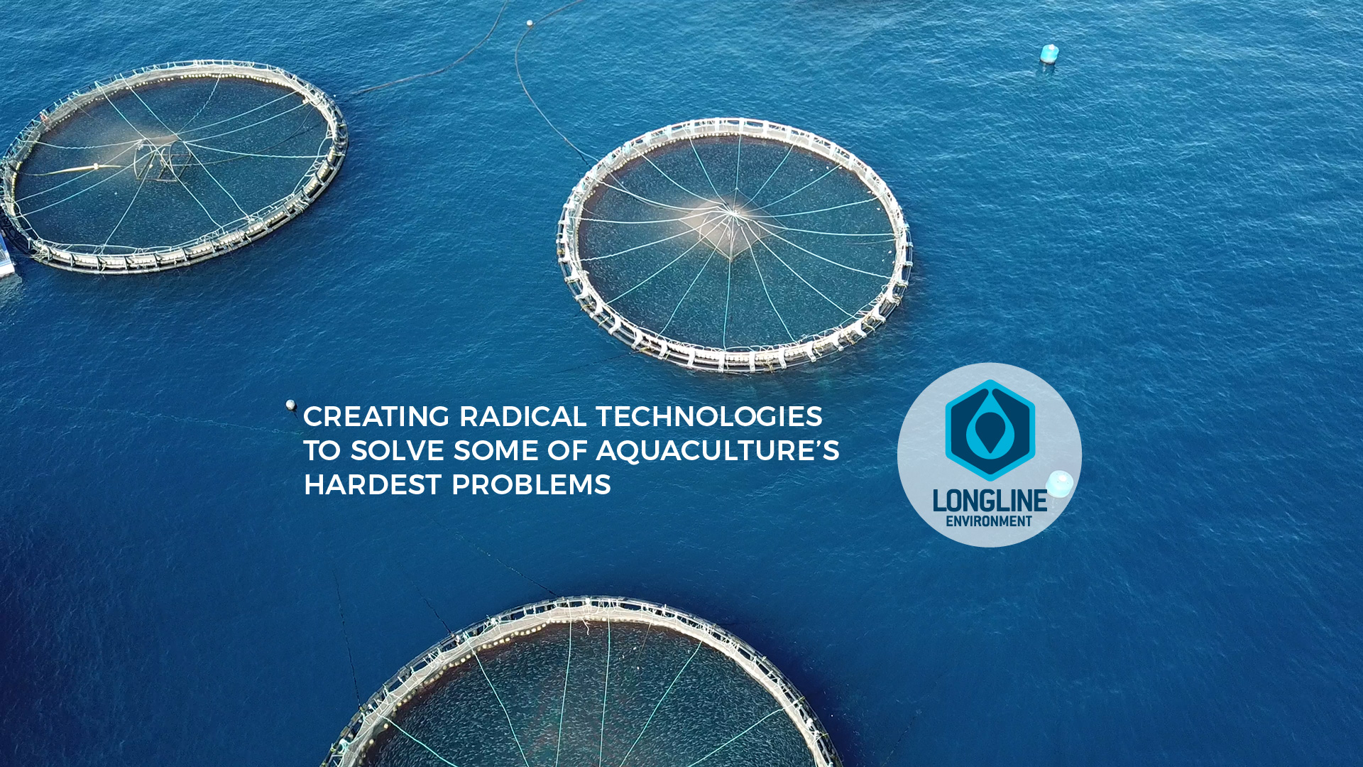Longline Environment | Radical Aquaculture Technology